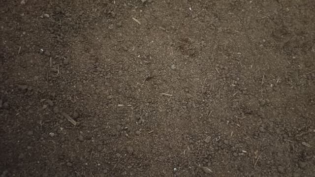Global Organic Fertilizer