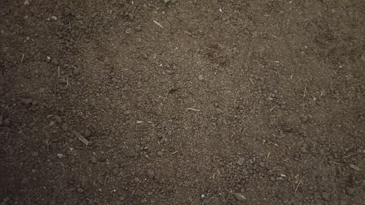 Global Organic Fertilizer